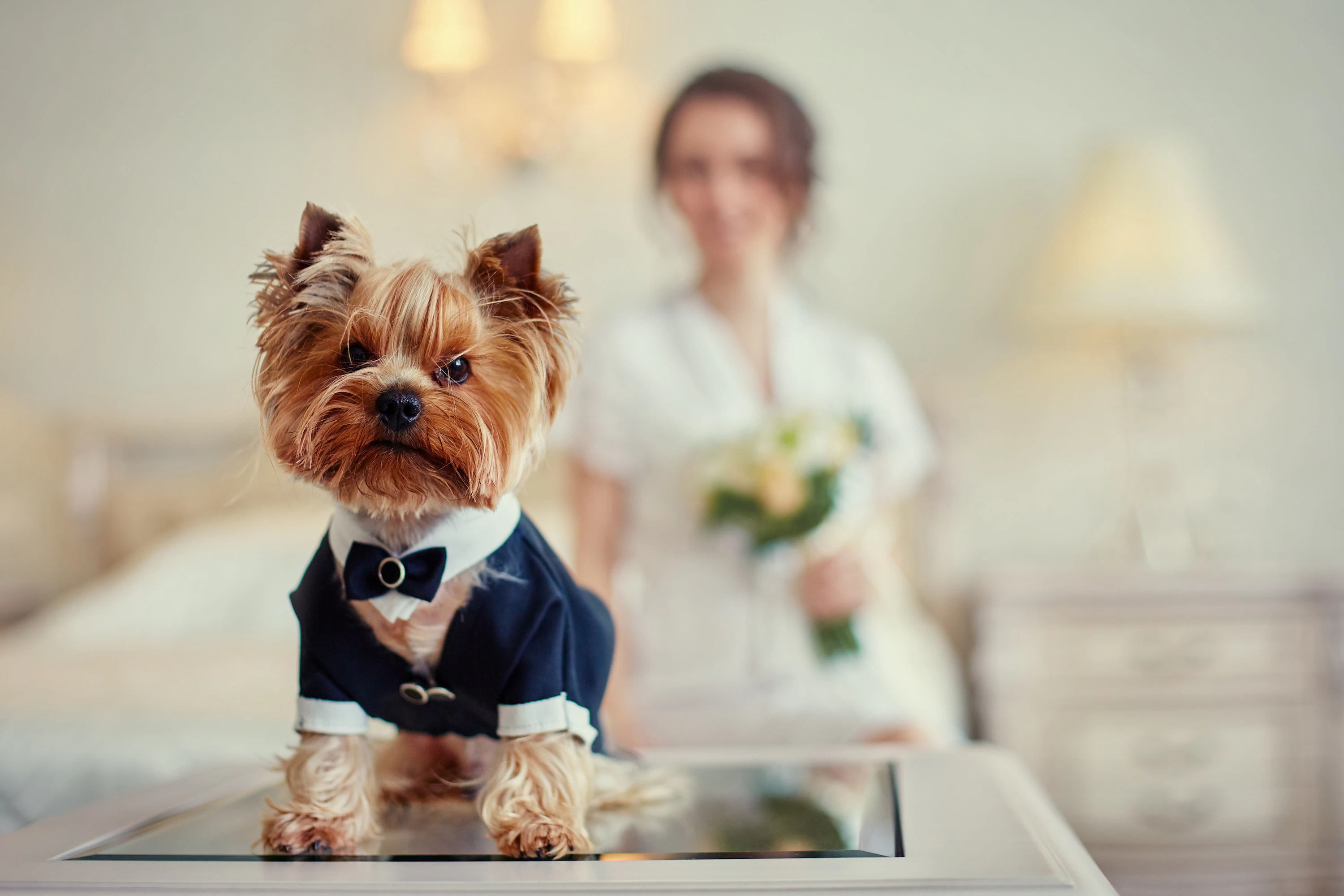 Ocean Kave Wedding Venue in North Devon